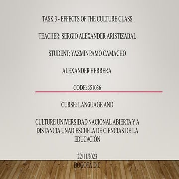 Task 3 - Effects of the culture class.pptx