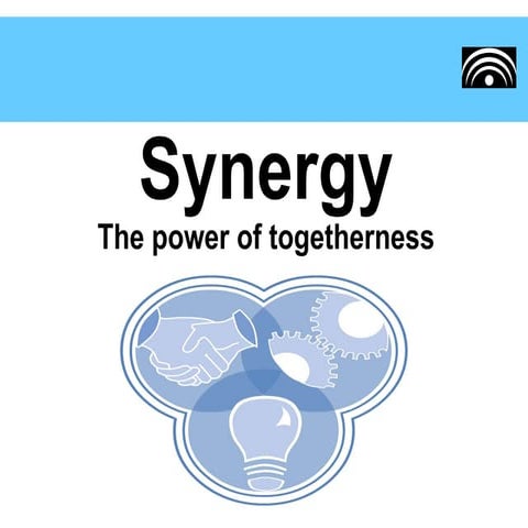 Synergy - Main Aspects | PPT