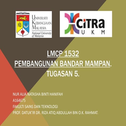 Task 5 (agenda tempatan 21) | PPTX