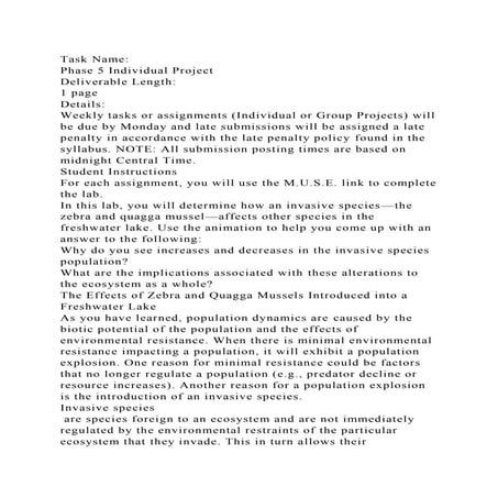 Task NamePhase 5 Individual ProjectDeliverable Length1 page.docx