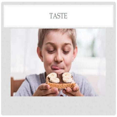 Taste and smell | PPT