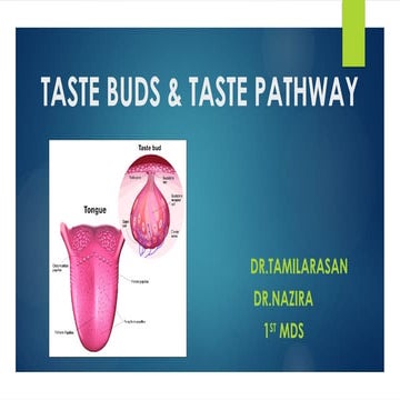 TASTE BUDS and TASTE PATHWAY in context of biochem | PPTX