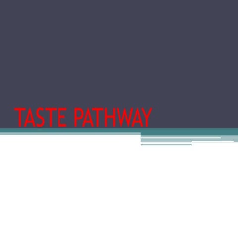 Taste pathway | PPTX
