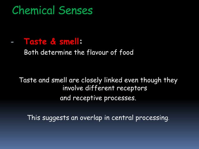 1st Grade - the sense of taste | PPTX