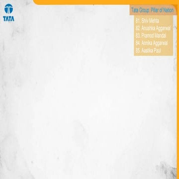 Tata Steel Organisation Structure Project | PDF