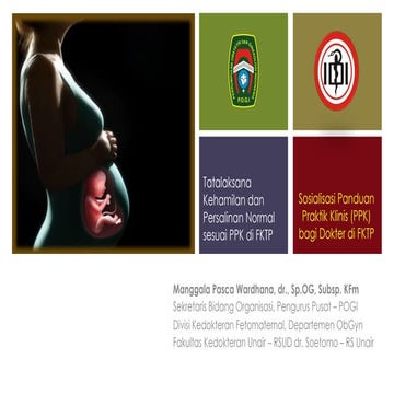 Tatalaksana Kehamilan dan Persalinan normal sesuai PPK di FKTP.pdf