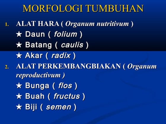 PPT Morfologi Tumbuhan - Tata Letak, Rumus, dan Diagram Daun | PPT