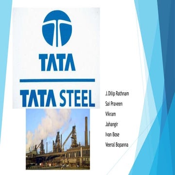 Project Marketing Tata steel | PPTX