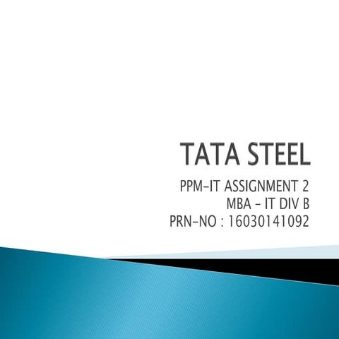 Tata Steel | PDF