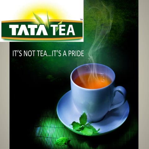 Tata tea pgp30031 sec_b | PDF | Marketing and Advertising | Business