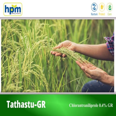 HPM HEERA-44 ( 2,4-D Ethyl Ester 38% EC ) | PDF