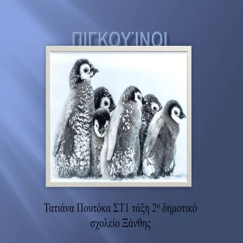 ΠΙΓΚΟΥΙΝΟΙ | PPTX