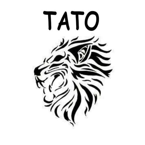 Trabalho tato (1) | PDF