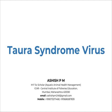 Taura syndrome virus (TSV) | PDF