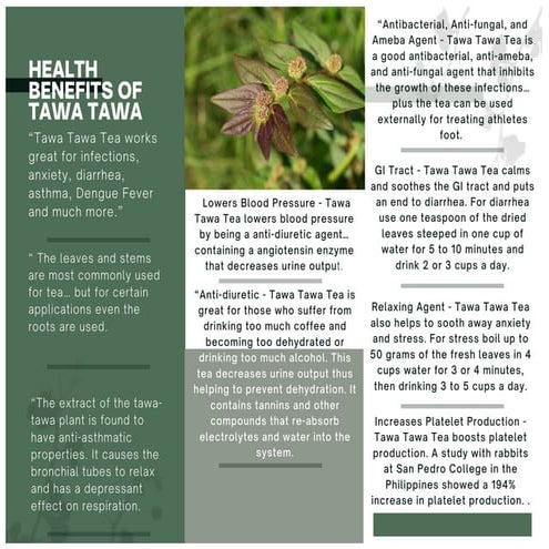 tawatawa.pdf