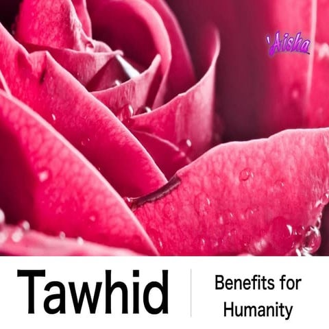 Tawhid - Benefits for Humanity | PDF