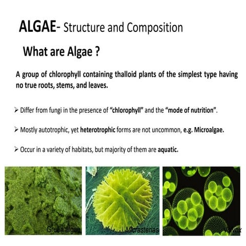 ALGAE - THALLUS ORGANIZATION.pptx