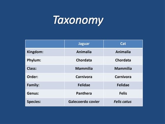 Animals In Extinction Danger. | PPT