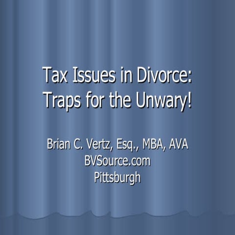 Tax Issues 2007 | PDF