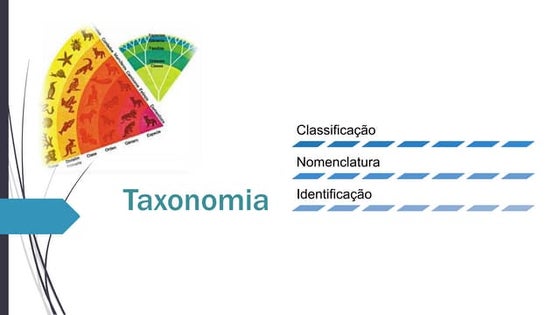 Tabela comparativa | PDF