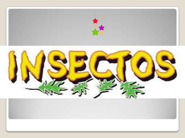 Los insectos | DOCX