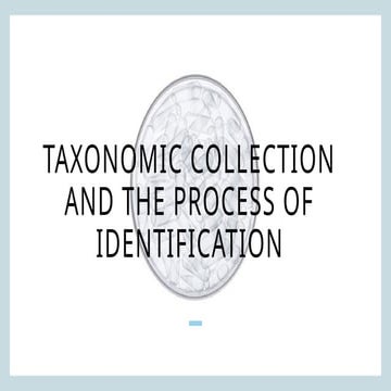 Taxonomic collection methods,preservation methods ,types of collection,catalouging,curation.pptx
