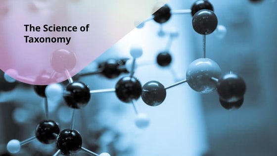 Taxonomy Powerpoint GRADE 8 SCIENCE 123465 | PPT