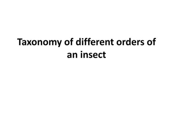 Insects Order hymenoptera | PPTX | Beekeeping | Hobbies & Interests
