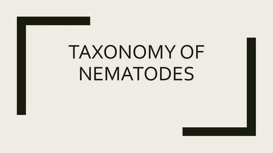 Body wall of nematode | PPT