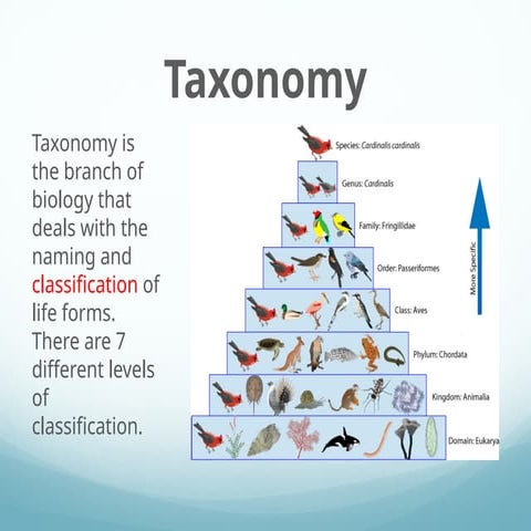 Taxonomy Powerpoint General Education ** | PPTX