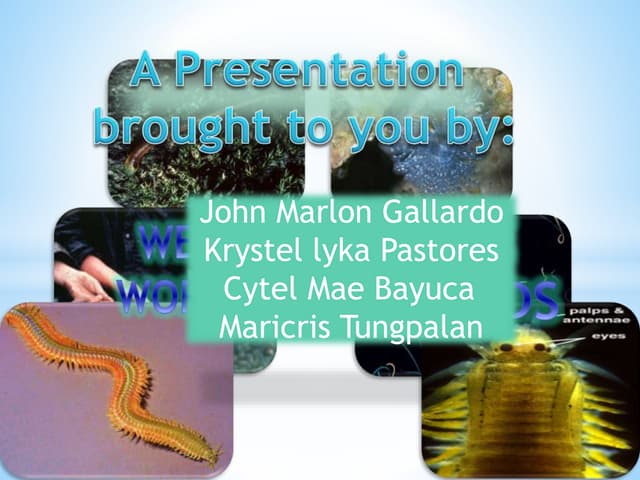 Annelida- General Characters and classification | PPTX