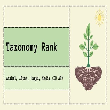 Taxonomy Rank. How the human can maintaning | PDF