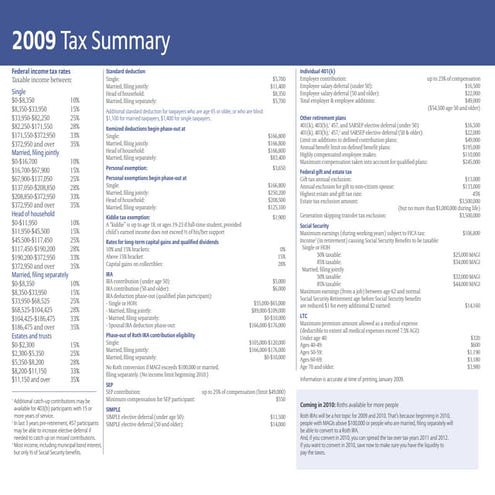 Tax Summary 2009 | PPT