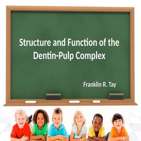 Tay - Structure and Function of the Dentin Pulp Complex.pptx