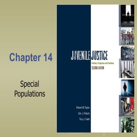 Taylor2 ppt ch14 | PPT | Crime & Harmful Acts to Individuals, Society ...