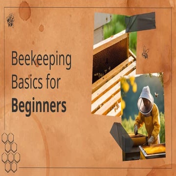 Introduction to bees and beekeeping | PPTX