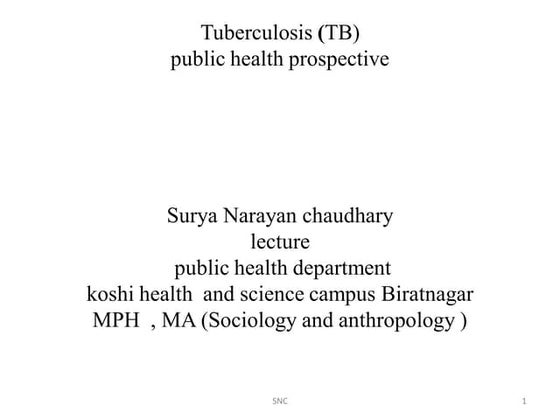 Tuberculosis slide : 2024/2025 PowerPoint | PPT