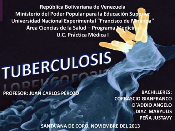 TUBERCULOSIS, descripción de la tuberculosis y todo lo relacionado a la ...