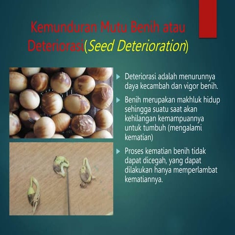 T Benih 06-07 KEMUNDURAN_dan INVIGORASI BENIH.pptx