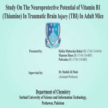 TBI Presentation 02 Updated.pptx