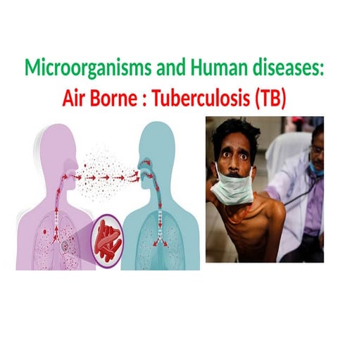 TB Microorganisms and Human diseases.pptx