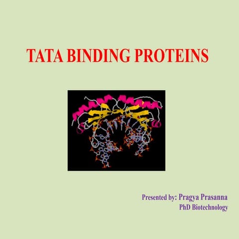 tata binding protein | PPTX
