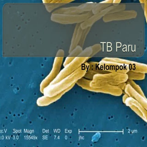 TB Paru | PPTX