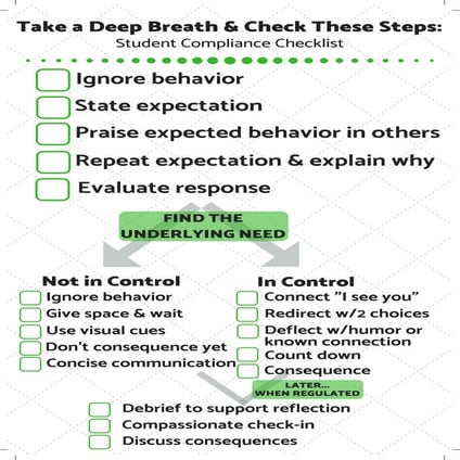 Student Cooperation Checklist | PDF