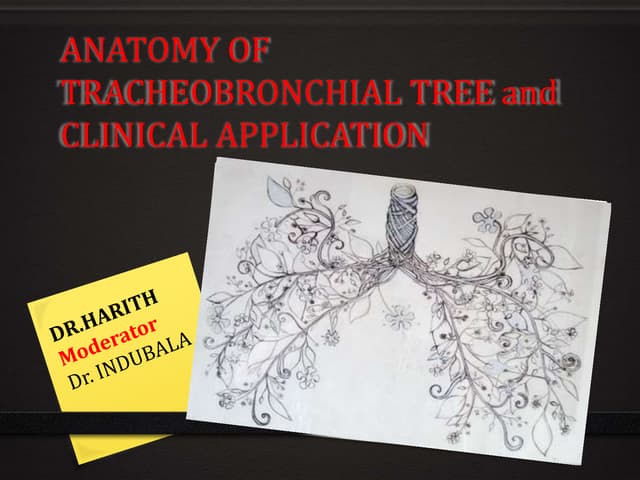 Anatomy of tracheobroncial tree | PPT