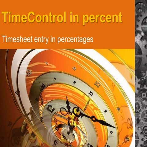 TimeControl timesheet - entry in percentage | PPTX