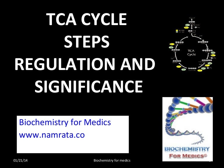 TCA cycle- steps, regulation and significance