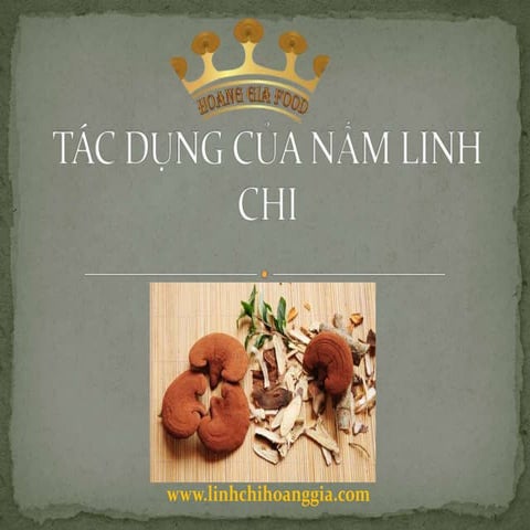 Nấm linh chi lim xanh tự nhiên Quảng Nam | DOCX