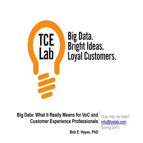 Big Data - What it Really Means for VOC and Customer Experience ...