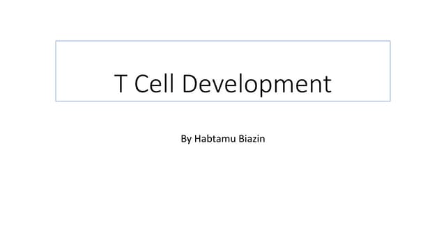 T cell development, maturation, activation and differentiation | PPTX